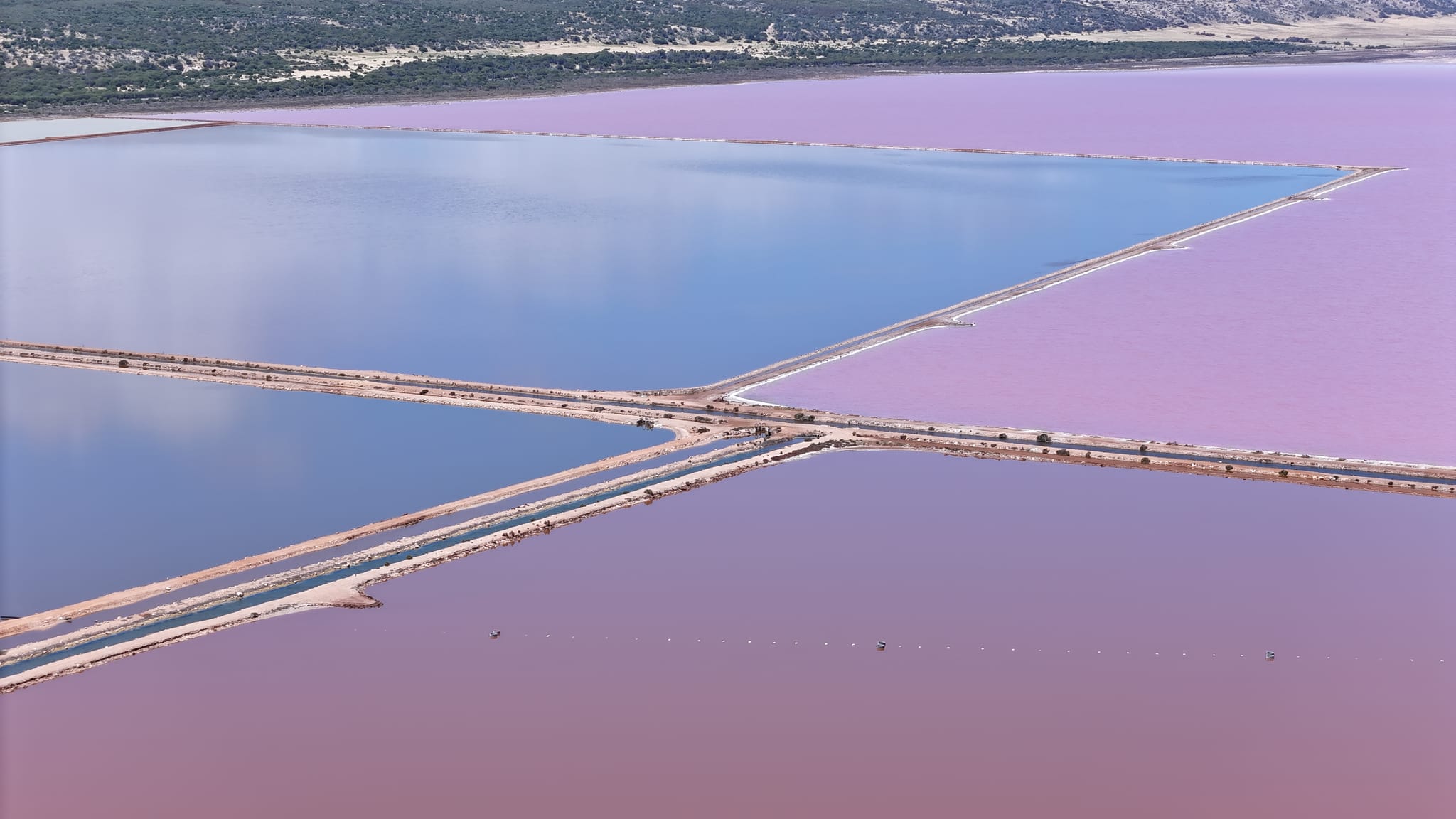 Hutt Lagoon: WA's Pink Lake - Travel Guide & FAQs