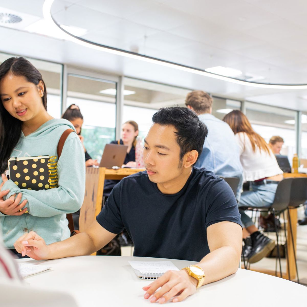 Student Exchange & Study Abroad Programs in WA | StudyPerth